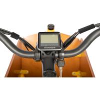 China Drop Ship City Tricycle with Rainproof Front Wooden Box 36V 250W Lithium Battery for sale