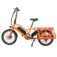 China Max Loading Family Delivery E-Cargo Electric Bike 36V 350W with 20 Inch Tires for sale