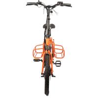 China Max Loading Family Delivery E-Cargo Electric Bike 36V 350W with 20 Inch Tires for sale