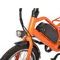 China Max Loading Family Delivery E-Cargo Electric Bike 36V 350W with 20 Inch Tires for sale