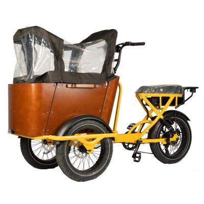 China 48V 250W Electric Cargo Tricycle 20x4.0 Tires 85km Range for Family Food Delivery for sale