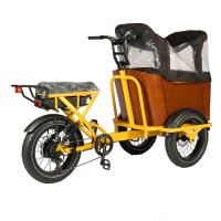 China 48V 250W Electric Cargo Tricycle 20x4.0 Tires 85km Range for Family Food Delivery for sale