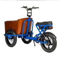 China 48V 250W Electric Cargo Tricycle 20x4.0 Tires 85km Range for Family Food Delivery for sale