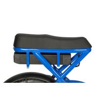China 48V 250W Electric Cargo Tricycle 20x4.0 Tires 85km Range for Family Food Delivery for sale