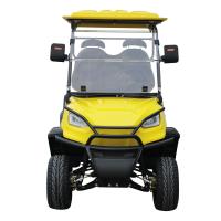 China Electric Hunting Golf Cart 4 Seater 48V with LCD Display and 1000W Rear Hub Motor for sale