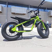 China 16 Inch 4.0 Fat Tire Electric Off Road Endurance Bike for Kids 37km/h Max Speed for sale