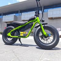 China 48V350W Off-Road Electric Vehicle with Lithium Battery Stable Riding for sale