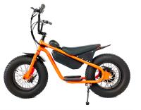 China 48V350W Off-Road Electric Vehicle with Lithium Battery Stable Riding for sale