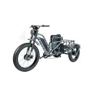 China Electric Cargo Trike Bakfiets 48V 500W Motor 20 Inch Tires Aluminum Alloy Frame 85km Range for sale