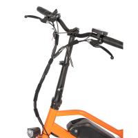 China Bafang Motor Electric Fat Tyre Food Delivery Bike 36V 250W 7 Speed Gears Kid Seat for sale