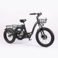 China Wholesale 750W 500W 3 Wheel Electric Cargo Tricycle 48V 20Ah Lithium Battery Aluminum Alloy Fork for sale