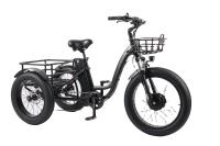 China 80km Range Electric Trike Papa Grande Fat Tire Cargo E-bike 48V 500W Motor 13Ah Battery for sale