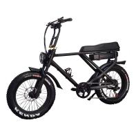 China Domanca 20 Inch Electric Fat Tyre Bike 48V 20Ah Lithium Battery 7 Speed Mountain E-Bike for sale