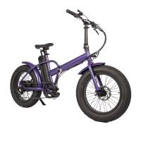 China Men's Folding Electric Bike 36V 9.6 AH Lithium Battery Disc Brake 20 Inch Aluminum Alloy Frame for sale