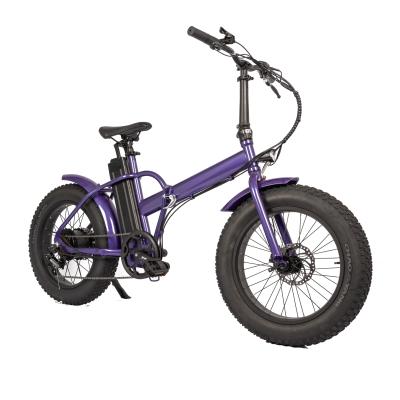 China Men's Folding Electric Bike 36V 9.6 AH Lithium Battery Disc Brake 20 Inch Aluminum Alloy Frame for sale