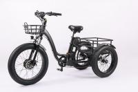 China 80km Range Electric Trike Papa Grande Fat Tire Cargo E-bike 48V 500W Motor 13Ah Battery for sale