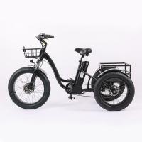 China 80km Range Electric Trike Papa Grande Fat Tire Cargo E-bike 48V 500W Motor 13Ah Battery for sale