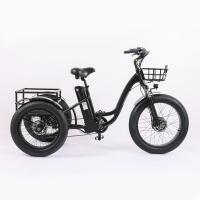 China 80km Range Electric Trike Papa Grande Fat Tire Cargo E-bike 48V 500W Motor 13Ah Battery for sale