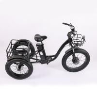 China 80km Range Electric Trike Papa Grande Fat Tire Cargo E-bike 48V 500W Motor 13Ah Battery for sale