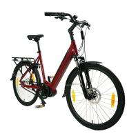 China Domanca 48V 20 Inch Electric Bicycle for Adults 7 Speed Fast Speed 1-3 Hours Charging Time for sale