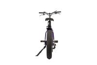 China Men's Folding Electric Bike 36V 9.6 AH Lithium Battery Disc Brake 20 Inch Aluminum Alloy Frame for sale