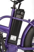 China Men's Folding Electric Bike 36V 9.6 AH Lithium Battery Disc Brake 20 Inch Aluminum Alloy Frame for sale