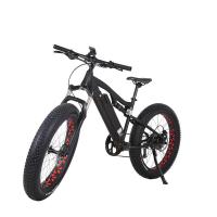 China Electric Fat Tyre Mountain Bike 26 Inch 48V 500W 750W 1000W E Bike for Adult for sale