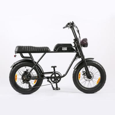 China 48V 1000W Fat Tyre Electric Bike 20 Inch Wheel Adult Vintage Mountain E Bicycle for sale