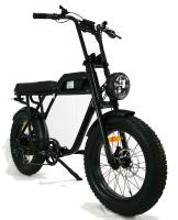 China 48V 1000W Fat Tyre Electric Bike 20 Inch Wheel Adult Vintage Mountain E Bicycle for sale
