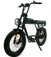 China 48V 1000W Fat Tyre Electric Bike 20 Inch Wheel Adult Vintage Mountain E Bicycle for sale