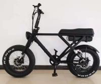 China Disc Brake Electric Bike 2022 Version Snow Beach Fast Speed Customized E Bicycle 2 Seats for sale