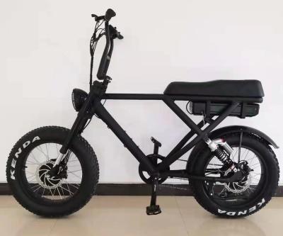 China Disc Brake Electric Bike 2022 Version Snow Beach Fast Speed Customized E Bicycle 2 Seats for sale