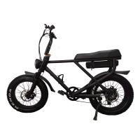 China Disc Brake Electric Bike 2022 Version Snow Beach Fast Speed Customized E Bicycle 2 Seats for sale