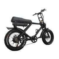 China Disc Brake Electric Bike 2022 Version Snow Beach Fast Speed Customized E Bicycle 2 Seats for sale