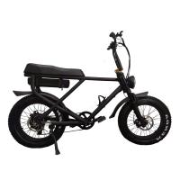 China Disc Brake Electric Bike 2022 Version Snow Beach Fast Speed Customized E Bicycle 2 Seats for sale