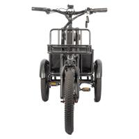 China Customized Electric Fat Tire Cargo Bike 48V 500W Motor 20 Inch LCD Display 7 Speed for sale