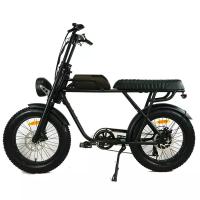China 48V 500W Electric Snow Beach Bike 2 Seat Fast Speed 20 Inch Fat Tire E Bike Custom Design for sale