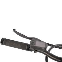 China Shimano 7 Speed Electric Folding Bike 48V 250W-1000W Motor Aluminum Alloy Frame for sale