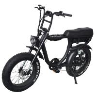 China 48V 20Ah Rear Carrier Battery Electric Moped Utility E-Bike 500W Full Suspension 7 Speed for sale