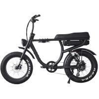 China 48V 20Ah Rear Carrier Battery Electric Moped Utility E-Bike 500W Full Suspension 7 Speed for sale