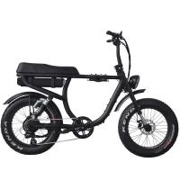 China 1000W 48V 20Ah Dual Battery Step Through Electric Retro Motorcycle Fat Bike 20 Inch for sale