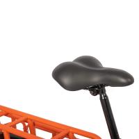 China 36V 350W Dual Battery Long Range 80km Aluminum Alloy Frame Long Tail Ebike for Delivery Family for sale