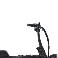 China 1000W 48V 20Ah Dual Battery Step Through Electric Retro Motorcycle Fat Bike 20 Inch for sale