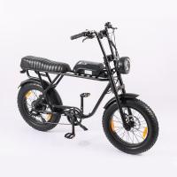 China 48V 16Ah Rear Carrier Battery Electric Bicycle 1000W Motor 20 Inch Aluminum Alloy Frame 7 Speed for sale
