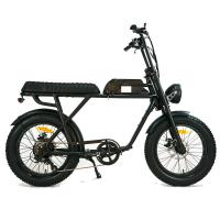 China 48V 16Ah Rear Carrier Battery Electric Bicycle 1000W Motor 20 Inch Aluminum Alloy Frame 7 Speed for sale