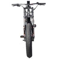 China 48V 20Ah Lithium Battery Electric Mountain Bike with Bafang M620 1000W Mid Drive Motor for sale