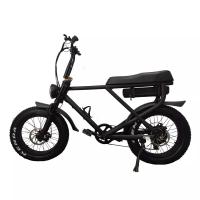 China Fat Tyre Electric Bike 48V 20Ah 7 Speed Snow Beach Fast Speed Customized 2 Seats E Bike for sale