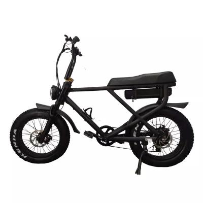 China Fat Tyre Electric Bike 48V 20Ah 7 Speed Snow Beach Fast Speed Customized 2 Seats E Bike for sale