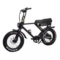 China Fat Tyre Electric Bike 48V 20Ah 7 Speed Snow Beach Fast Speed Customized 2 Seats E Bike for sale