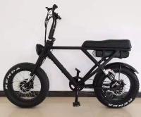 China Fat Tyre Electric Bike 48V 20Ah 7 Speed Snow Beach Fast Speed Customized 2 Seats E Bike for sale